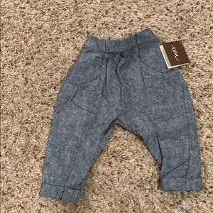 Tea Collection | Bottoms | Nwt Tea Collection Pants | Poshmark
